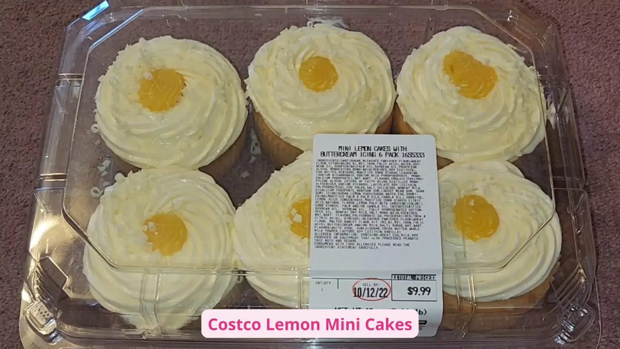 Costco Mini Cakes 2025 - Ultimate Guide