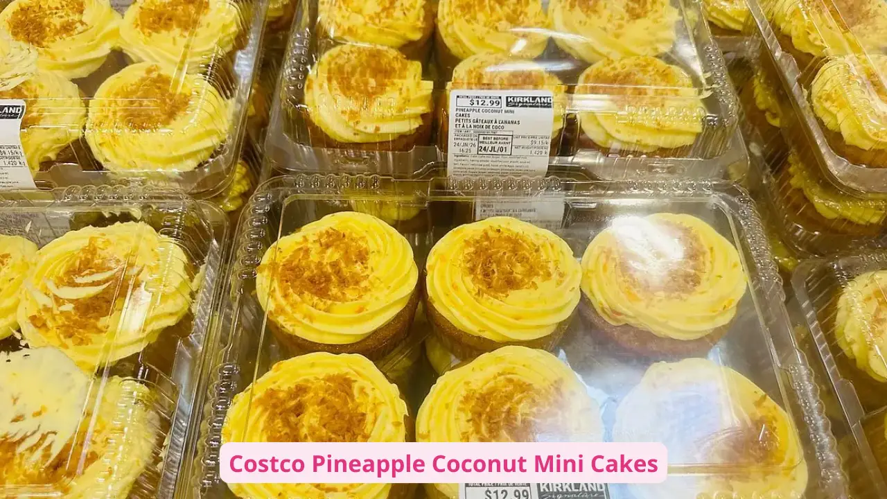 Costco Mini Cakes 2025 - Ultimate Guide